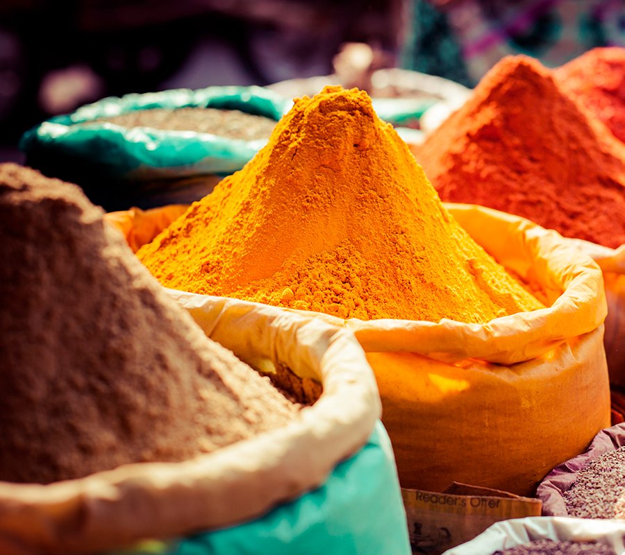 MSC Euribia - Nosso novo Cruzeiro MSC Cruzeiros