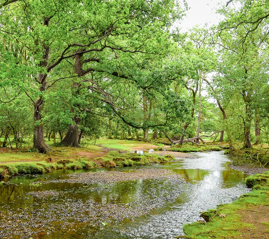 MSC Euribia - Nosso novo Cruzeiro MSC Cruzeiros