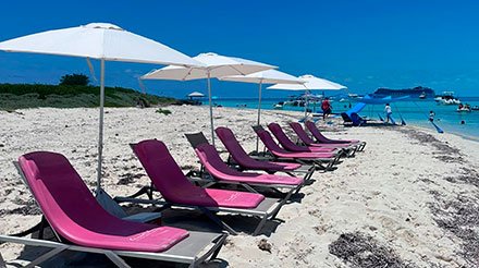 Ocean Cay MSC Marine Reserve, Bahamas | MSC Cruzeiros